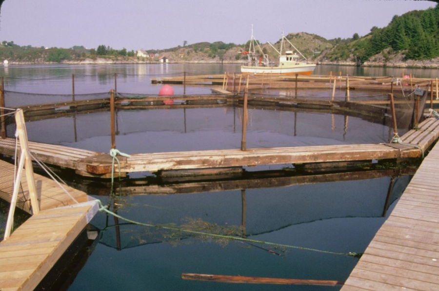 PHOTO LIBRARY: detail