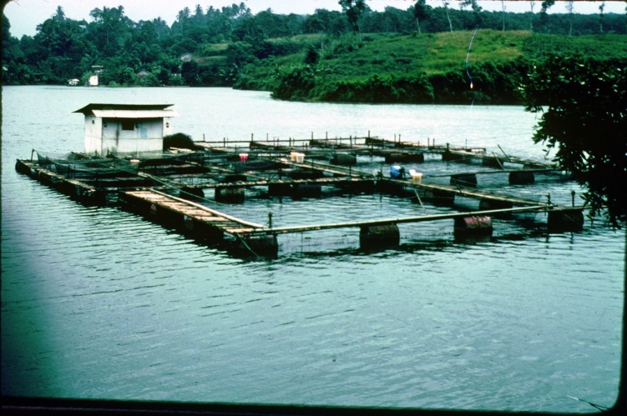 PHOTO LIBRARY: detail