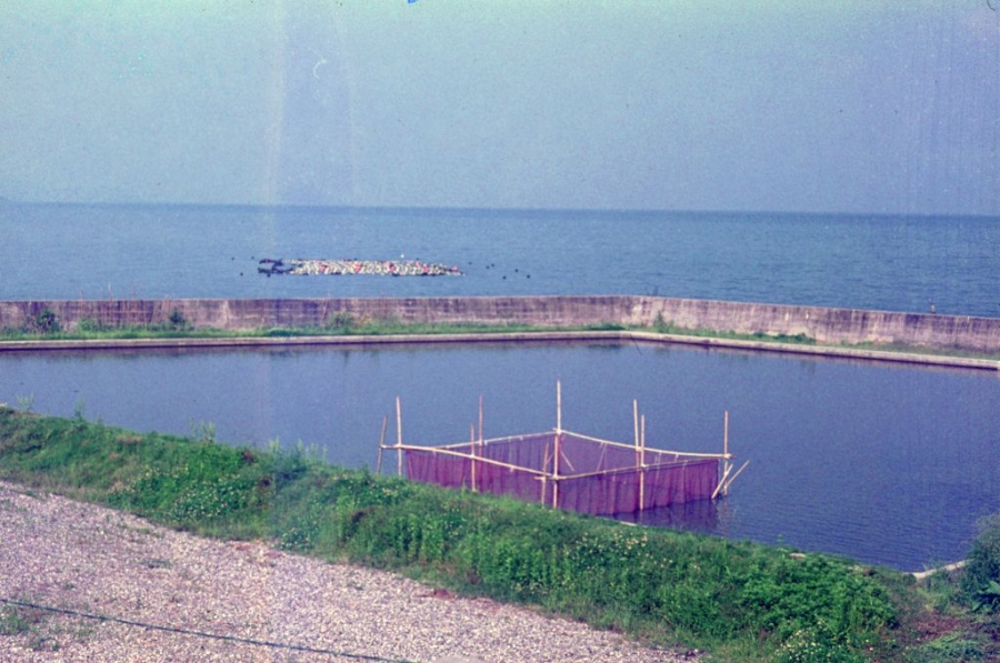 PHOTO LIBRARY: detail