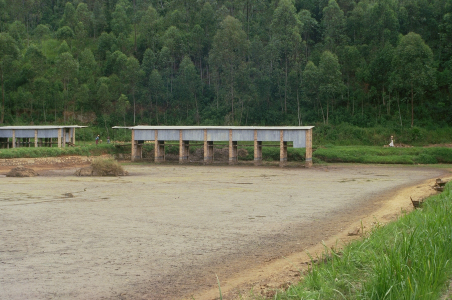 PHOTO LIBRARY: detail