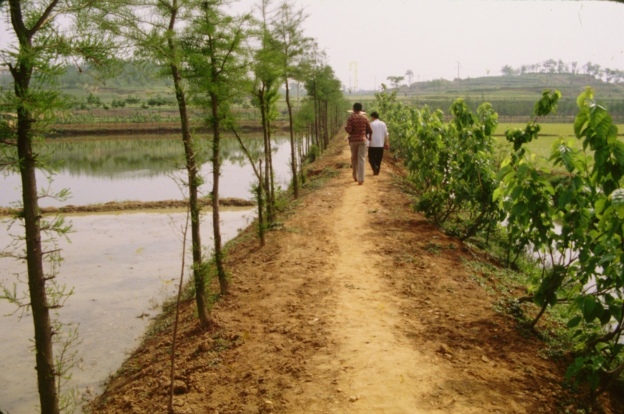 PHOTO LIBRARY: detail