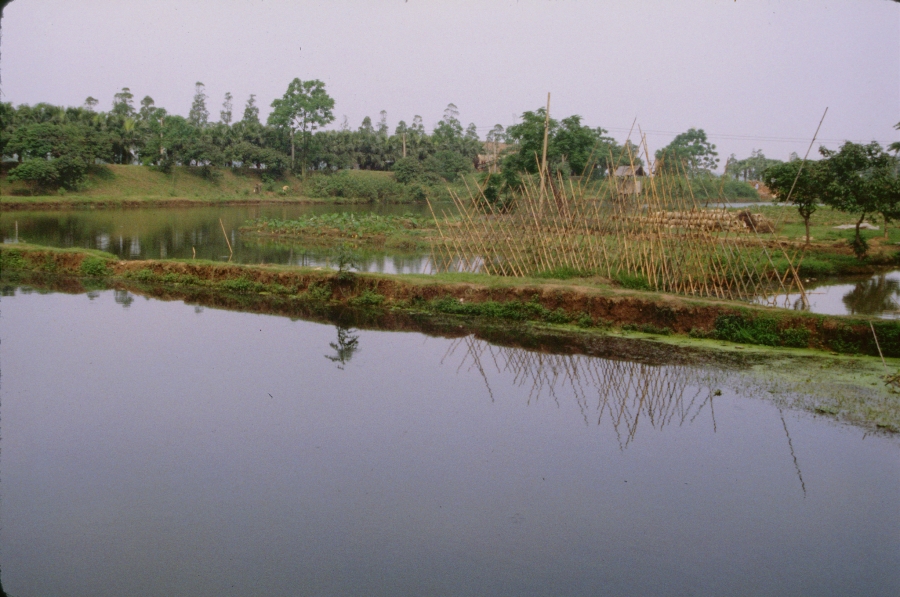 PHOTO LIBRARY: detail