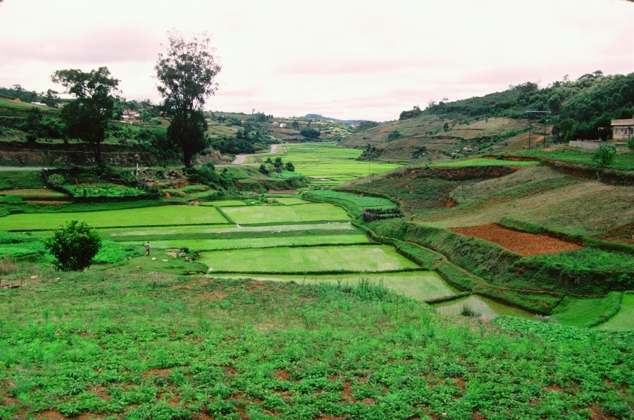 PHOTO LIBRARY: detail