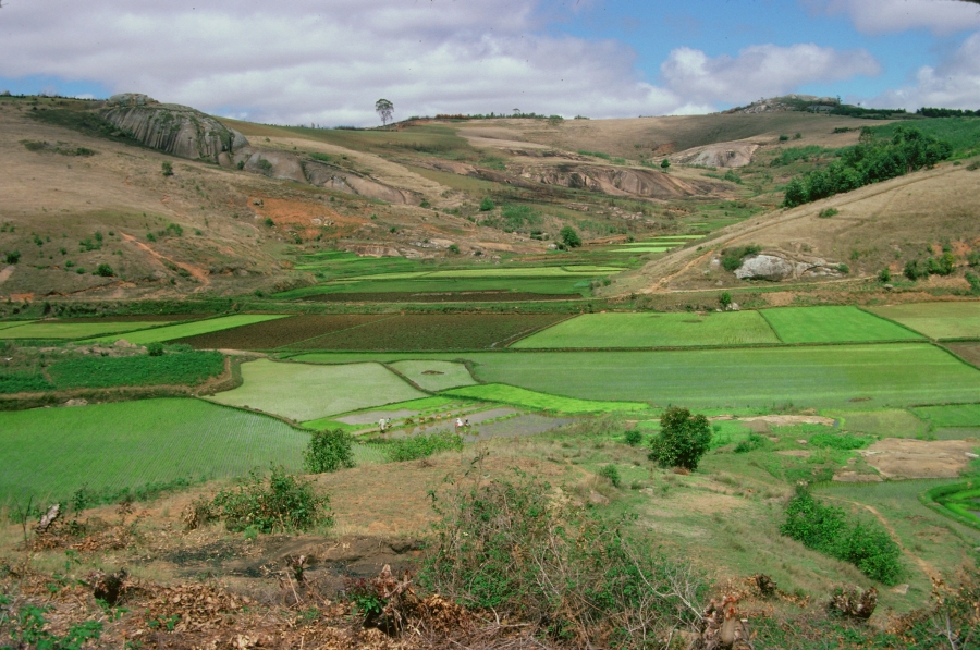 PHOTO LIBRARY: detail