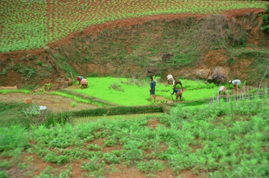 PHOTO LIBRARY: detail