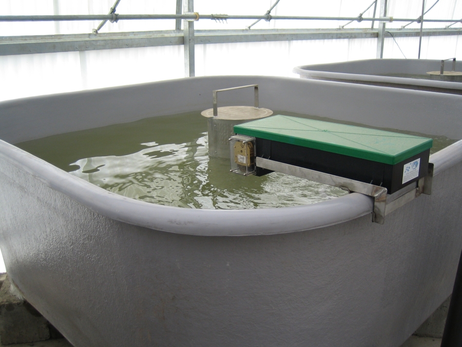 PHOTO LIBRARY: detail