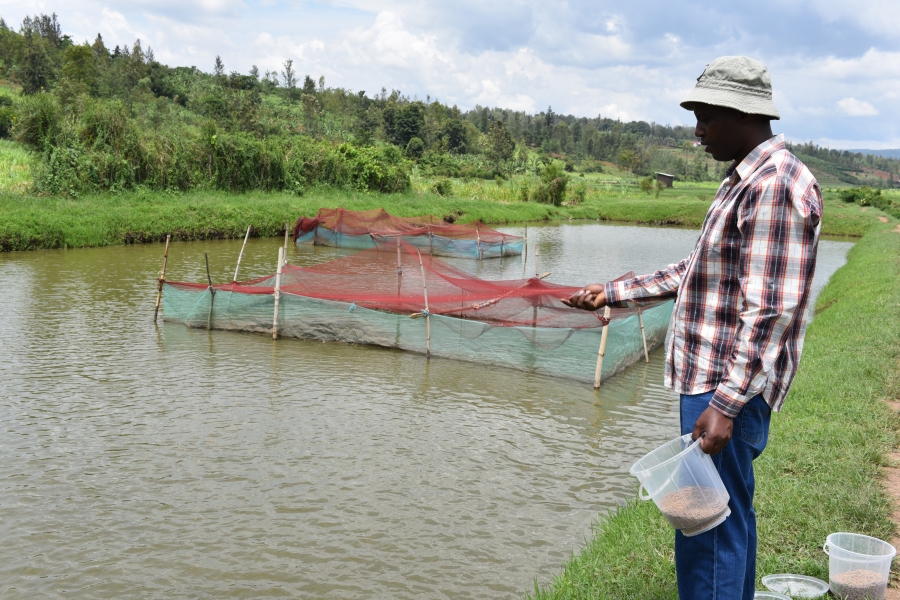 PHOTO LIBRARY: detail