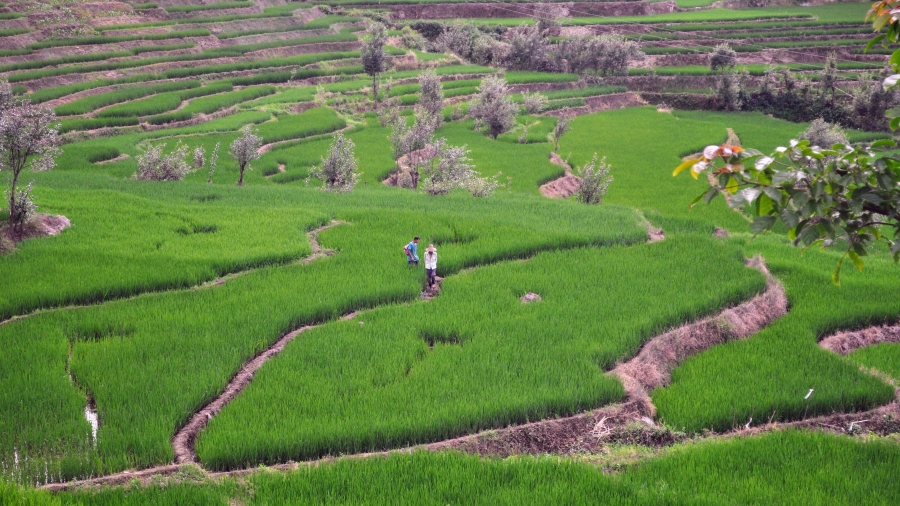 PHOTO LIBRARY: Photos