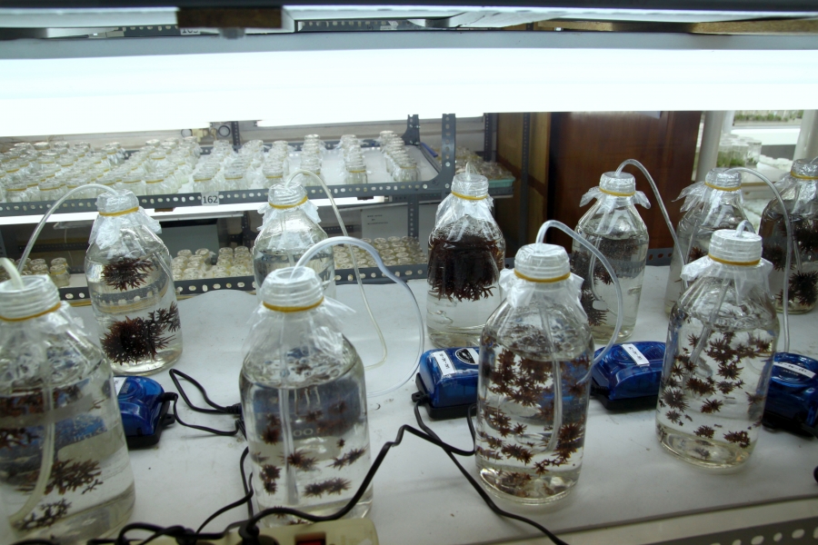 PHOTO LIBRARY: detail