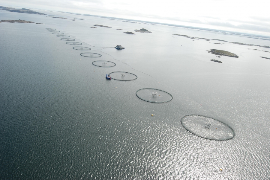 PHOTO LIBRARY: detail