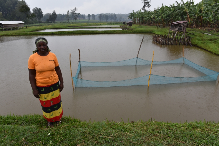 PHOTO LIBRARY: Photos