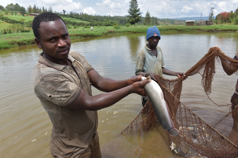 PHOTO LIBRARY: detail