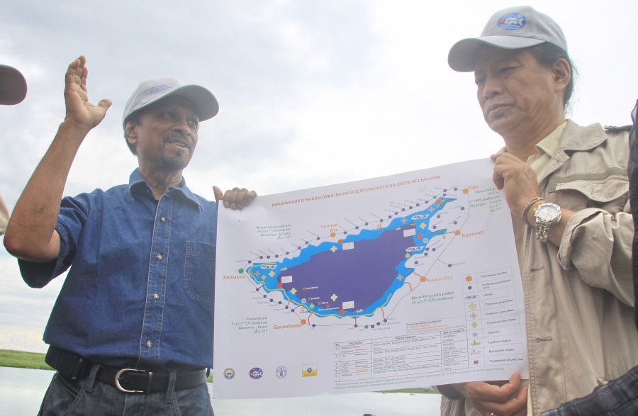 PHOTO LIBRARY: detail