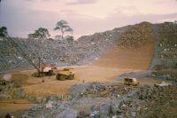 PHOTO LIBRARY: detail