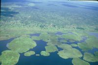 PHOTO LIBRARY: detail