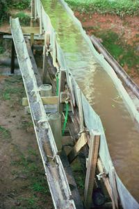 PHOTO LIBRARY: detail