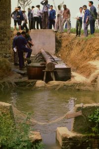 PHOTO LIBRARY: detail