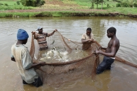 PHOTO LIBRARY: detail