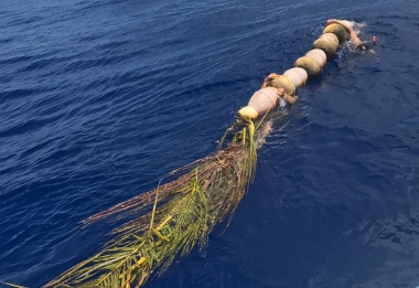 FAO project supports FAD programme in Palau | FishFAD: Improving ...