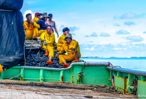 Regional fisheries bodies and their role in improving safety and decent ...