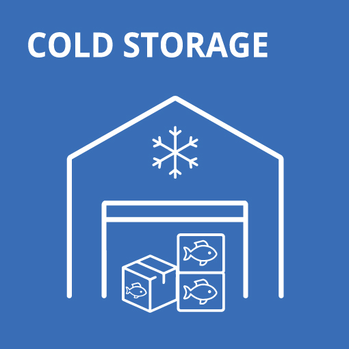 Loss and Waste Scenarios | Food Loss and Waste in Fish Value Chains ...