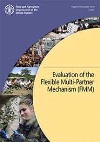Evaluation of the Flexible Multi-Partner Mechanism (FMM) | Flexible ...