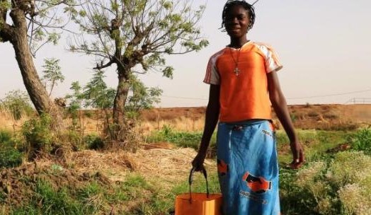 A series of four webinars to focus climate change and food safety ...