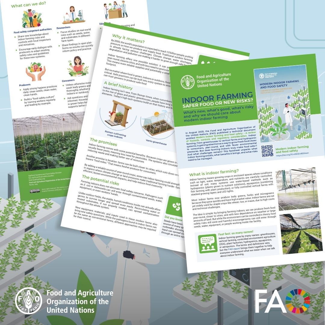 New FAO factsheet explores food safety in modern indoor farming | Food ...