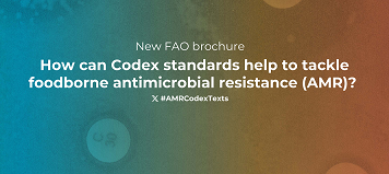 New publication on strengthening food safety through Codex texts | Food ...