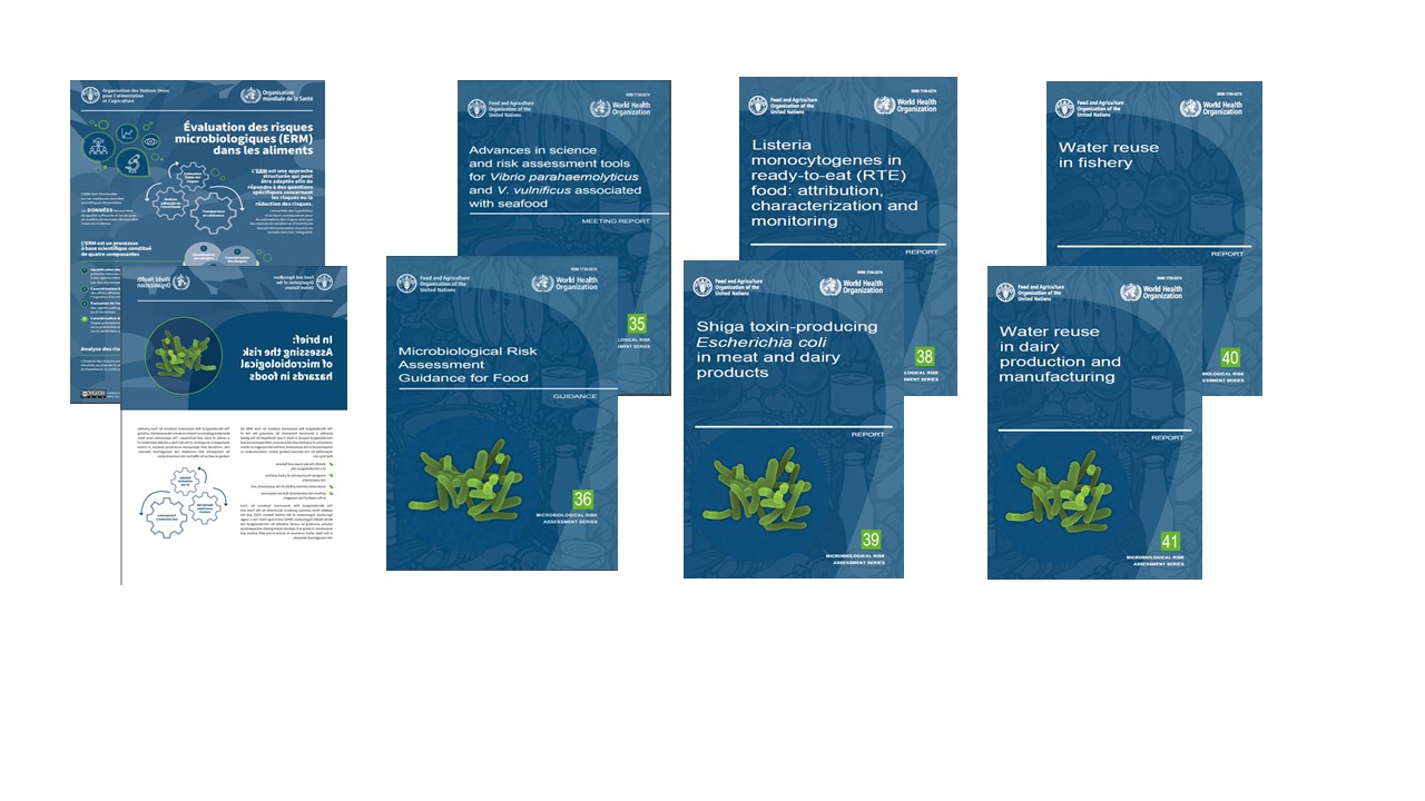 Codex meeting on food hygiene receives update | Food safety and quality ...