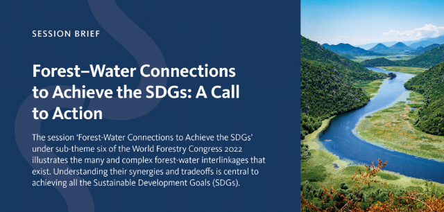 Forest and Water Programme | Food and Agriculture Organization of the ...