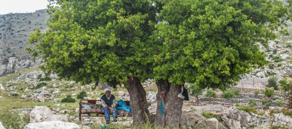 The Forest and Landscape Restoration Mechanism | Food and Agriculture ...