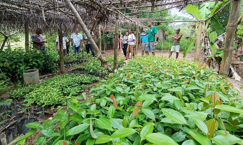 Forest and Farm Facility | Food and Agriculture Organization of the ...
