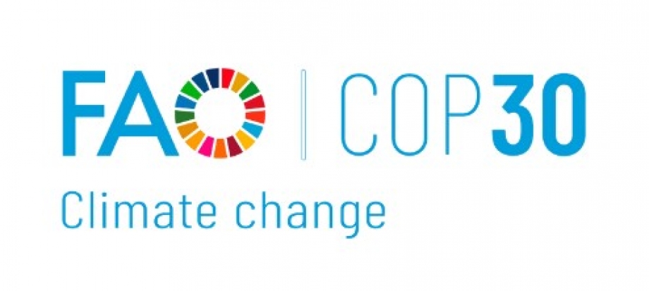 |Evaluation at FAO|FAO