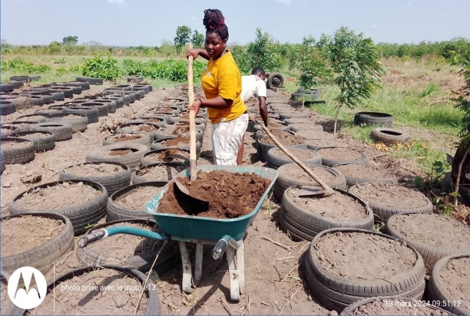 Forest and Farm Facility | Food and Agriculture Organization of the ...