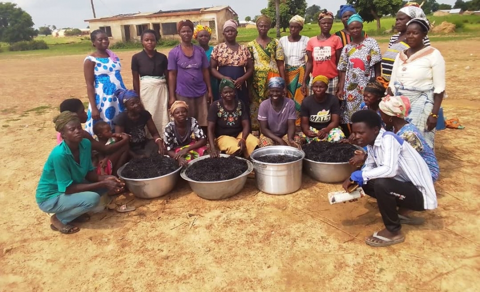 Forest and Farm Facility | Food and Agriculture Organization of the ...