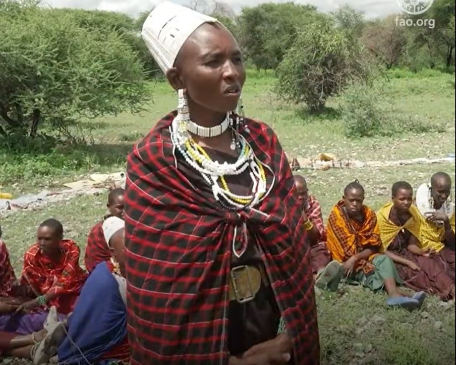 Forest and Farm Facility | Food and Agriculture Organization of the ...