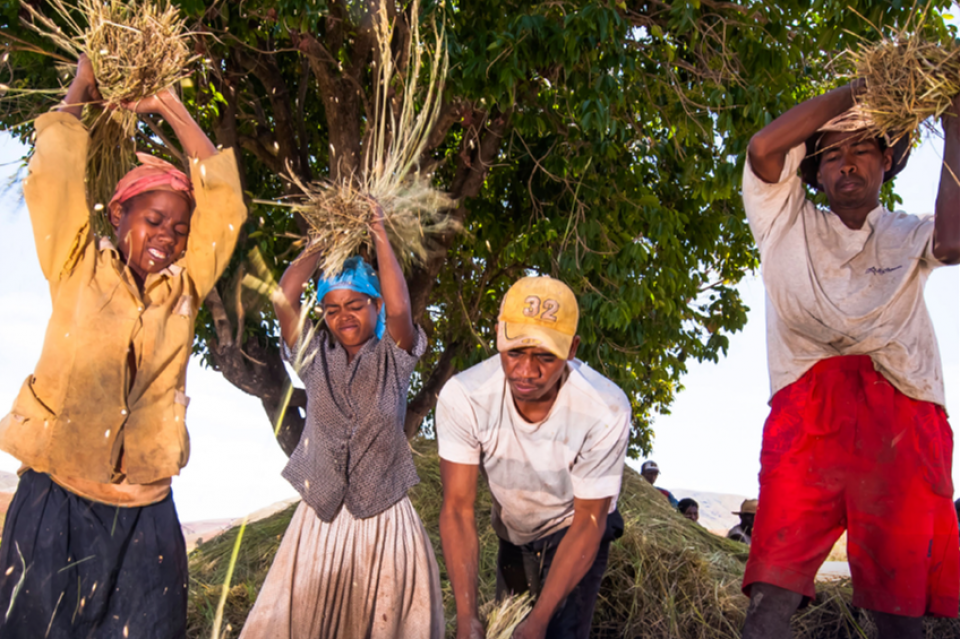 Forest and Farm Facility | Food and Agriculture Organization of the ...