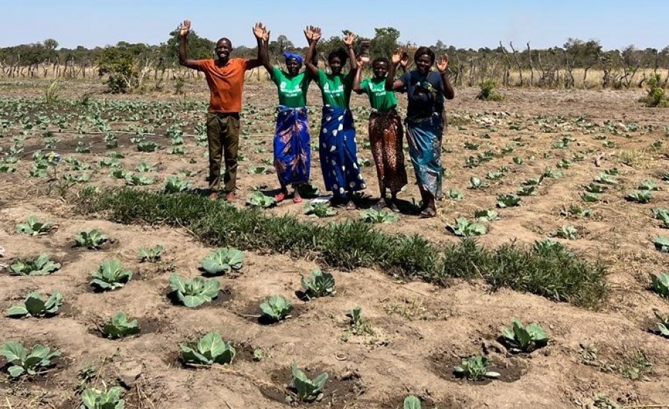 Forest and Farm Facility | Food and Agriculture Organization of the ...
