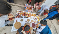 Is agrobiodiversity the answer to saving our planet? | 森林与农场基金 | 联合国粮食及 ...