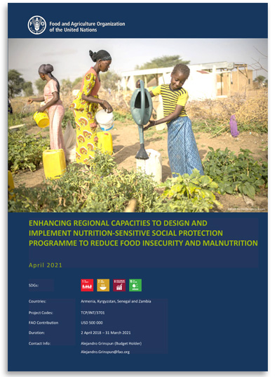 Enhancing Regional Capacities to Design and Implement Nutrition ...