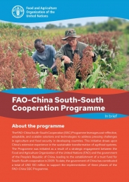 Tools and publications | Policy Support and Governance Gateway | Food ...