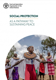 Tools and publications | Policy Support and Governance Gateway | Food ...