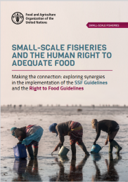 Sustainable Small-Scale Fisheries | Policy Support and Governance ...