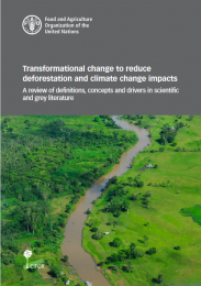 Sustainable Forest Management | Policy Support and Governance Gateway ...