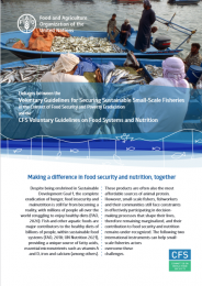 Sustainable Small-Scale Fisheries | Policy Support and Governance ...