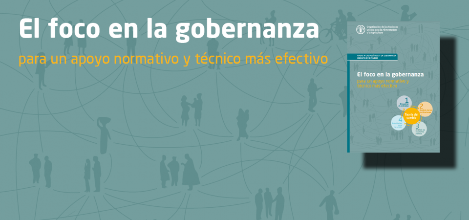 Portal de apoyo a las políticas y la gobernanza | Organización de las ...