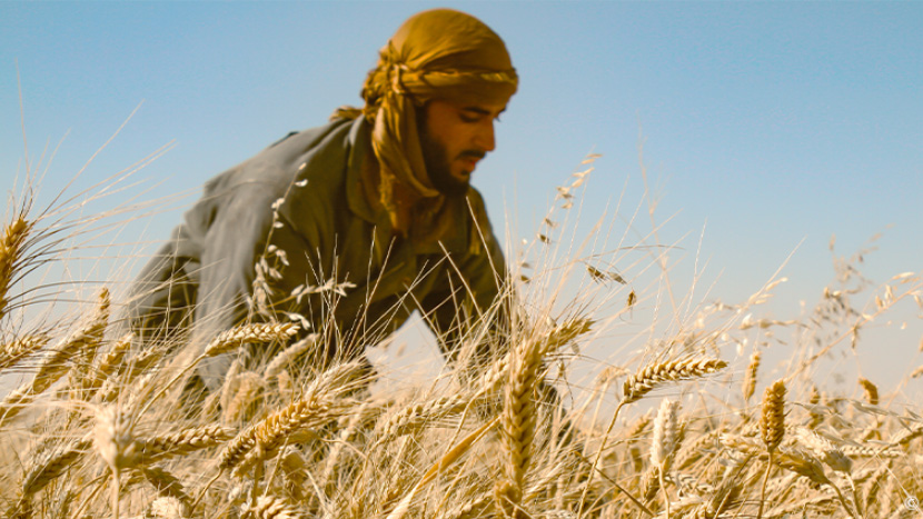 Inicio | Portal para los Miembros de la FAO | Organización de las ...