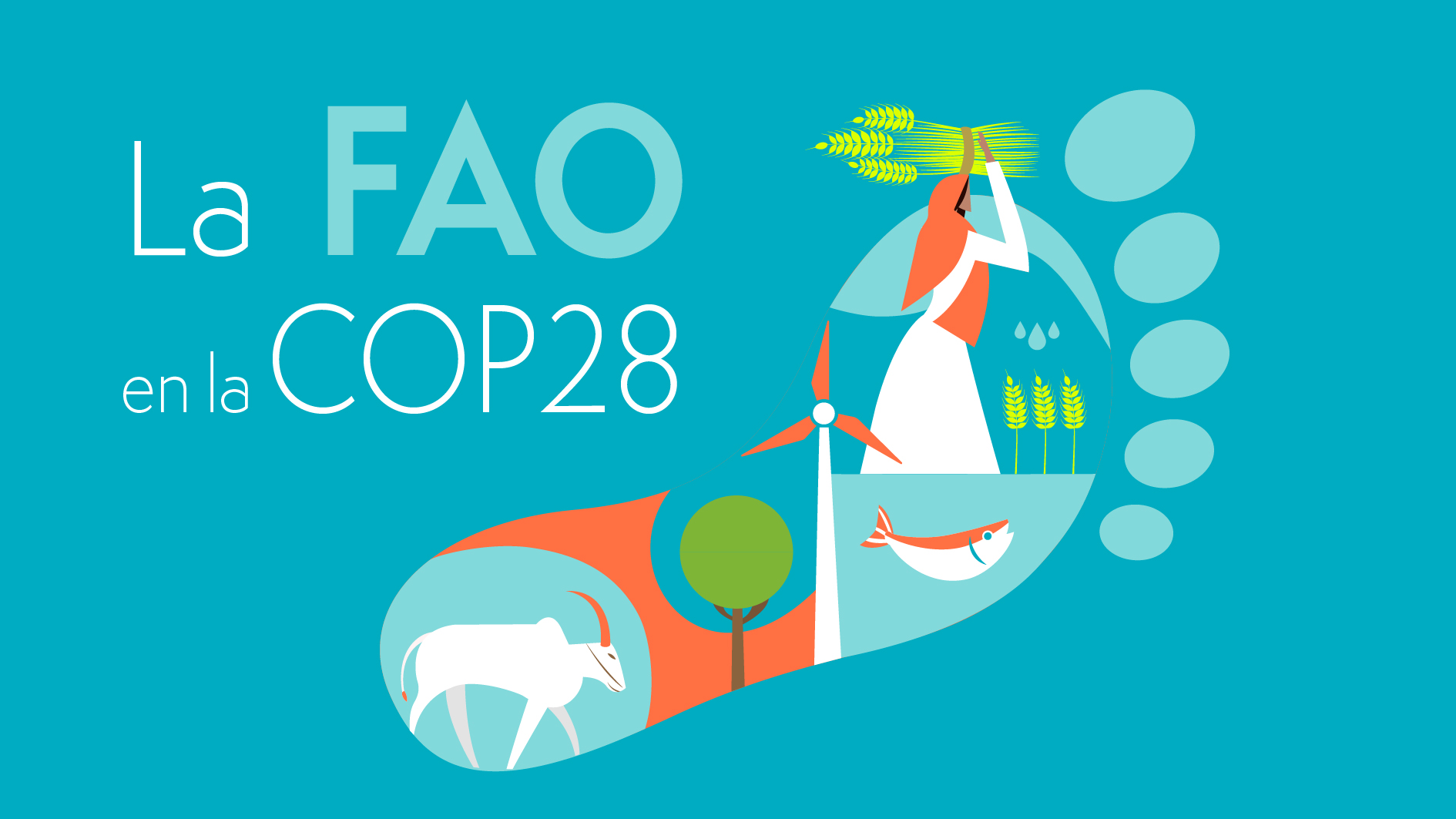 Inicio | Portal para los Miembros de la FAO | Organización de las ...