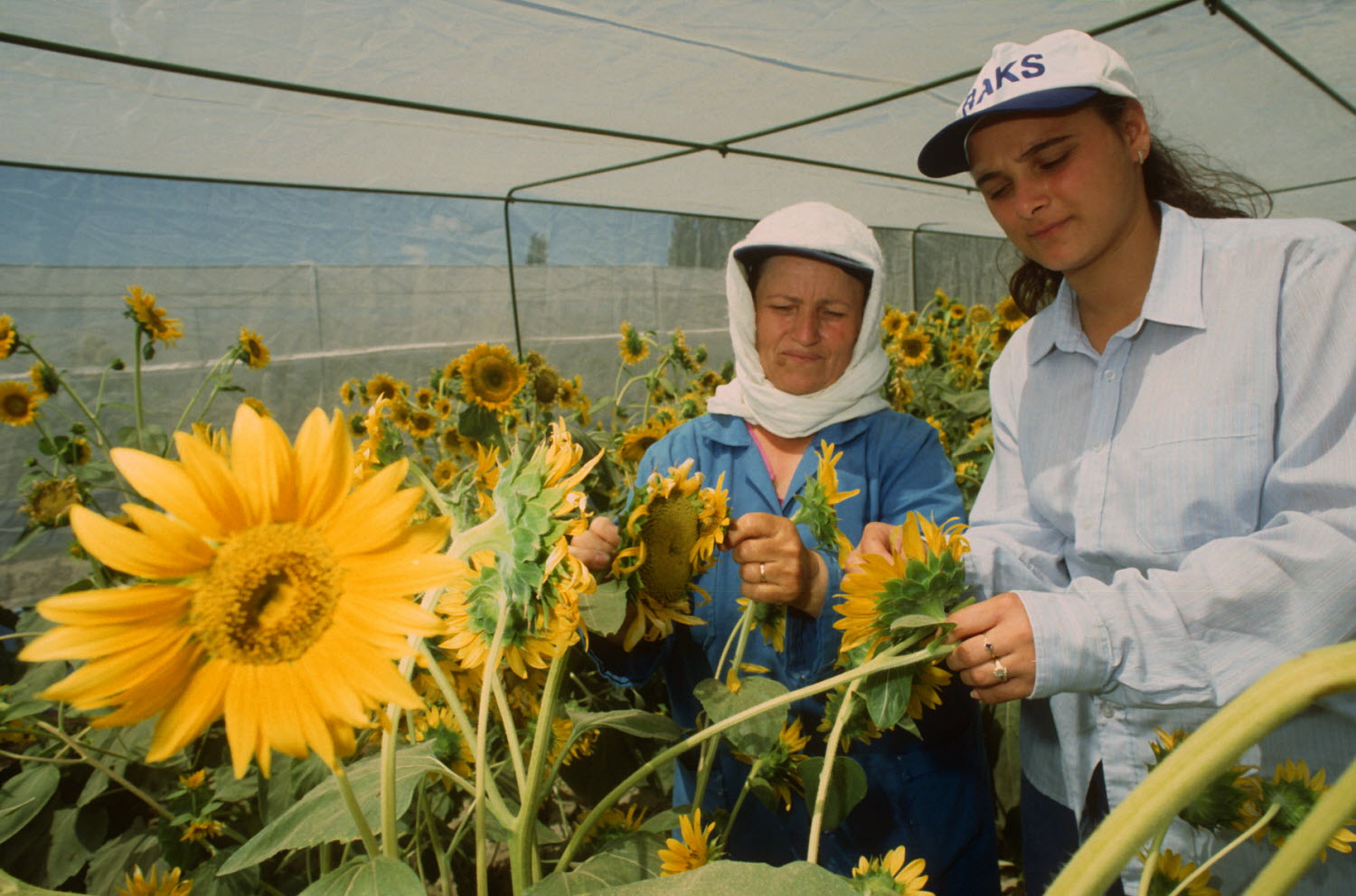 Home | FAO Members Gateway | Food and Agriculture Organization of the ...